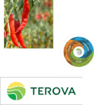 Griffith Foods | About Us