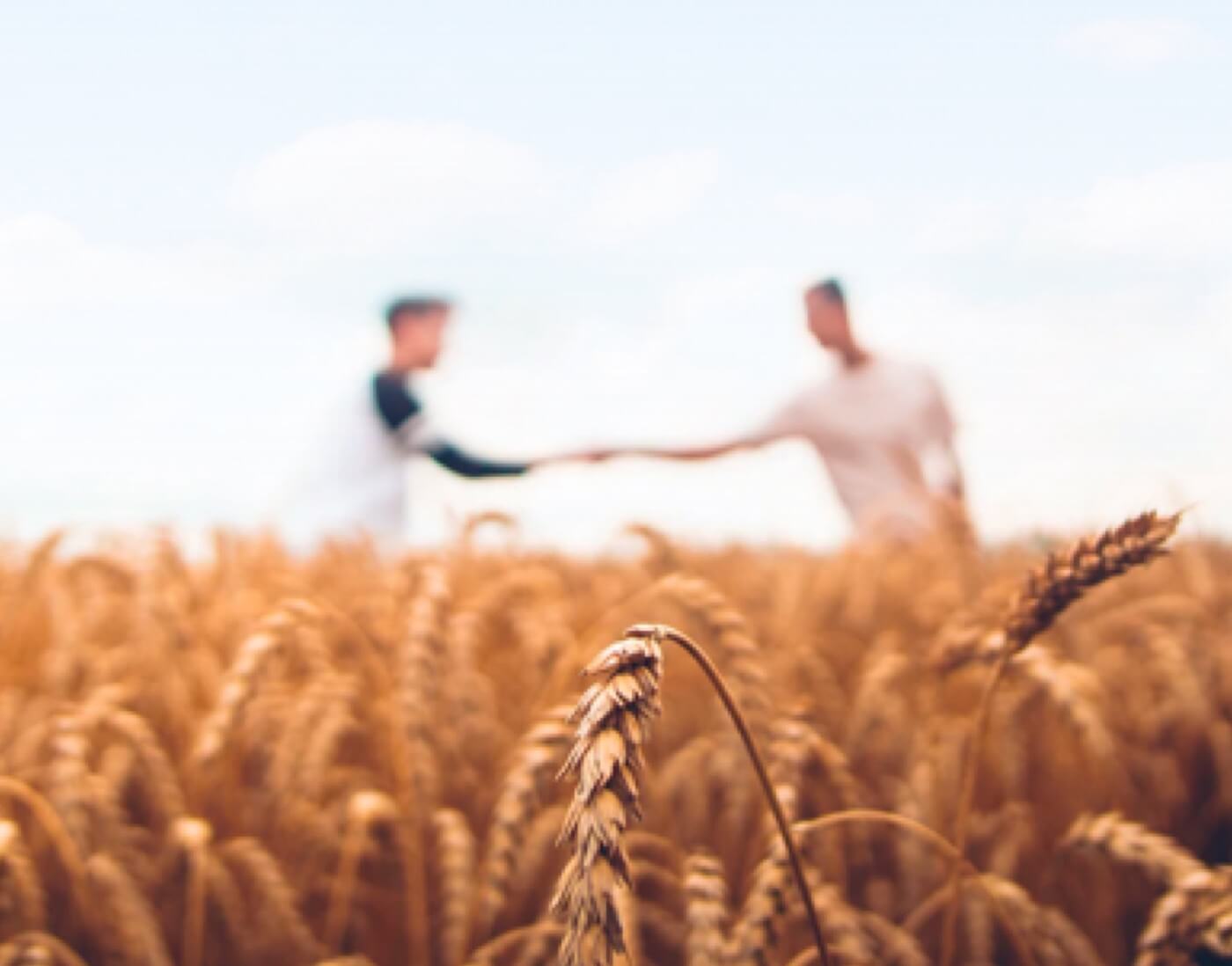 Griffith Foods | Global Food Product Development & Innovation